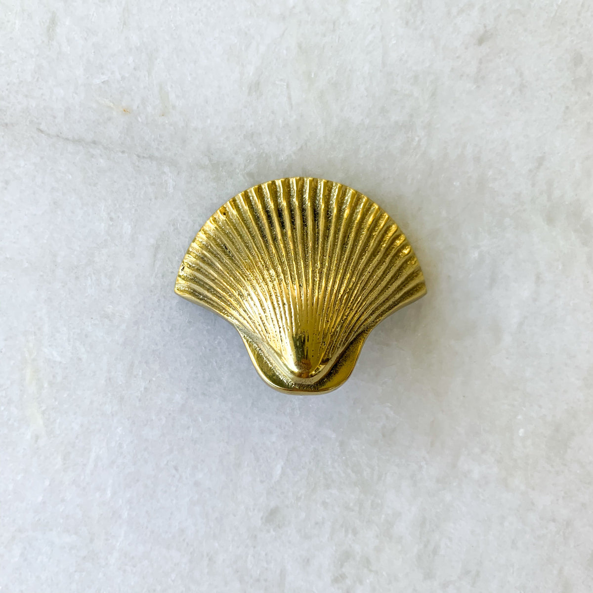 Sea Shell Knob - Ocean Luxe